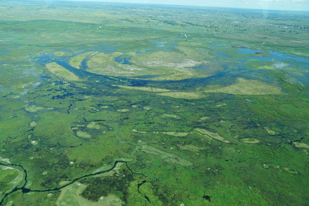 Okavango Delta Guide: Best Time, Map & Safaris